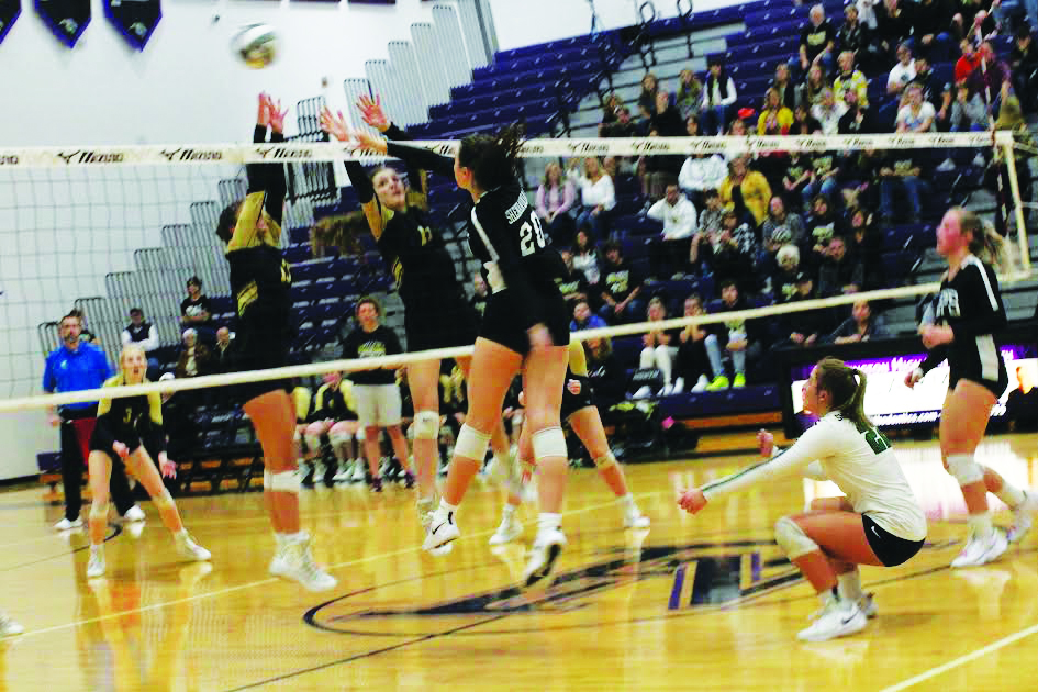 Lady Zeps Lose Five-Set Heartbreaker – The Journal – Leader