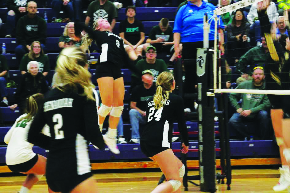 Lady Zeps Lose Five-Set Heartbreaker – The Journal – Leader