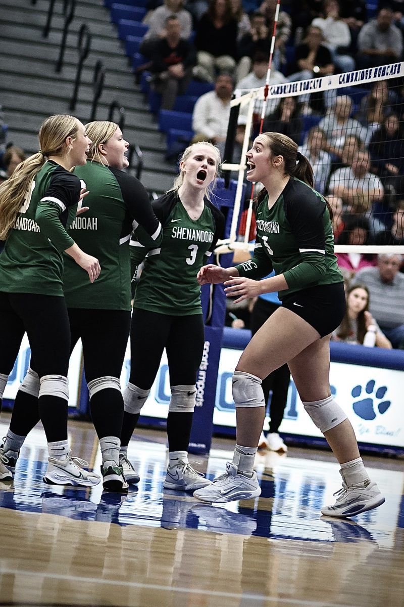 Shenandoah Zeps Volleyball Stuns Top-Seeded Highland Hawks to Advance ...